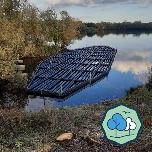 Enhance our rivers and create new habitats so wildlife can thrive